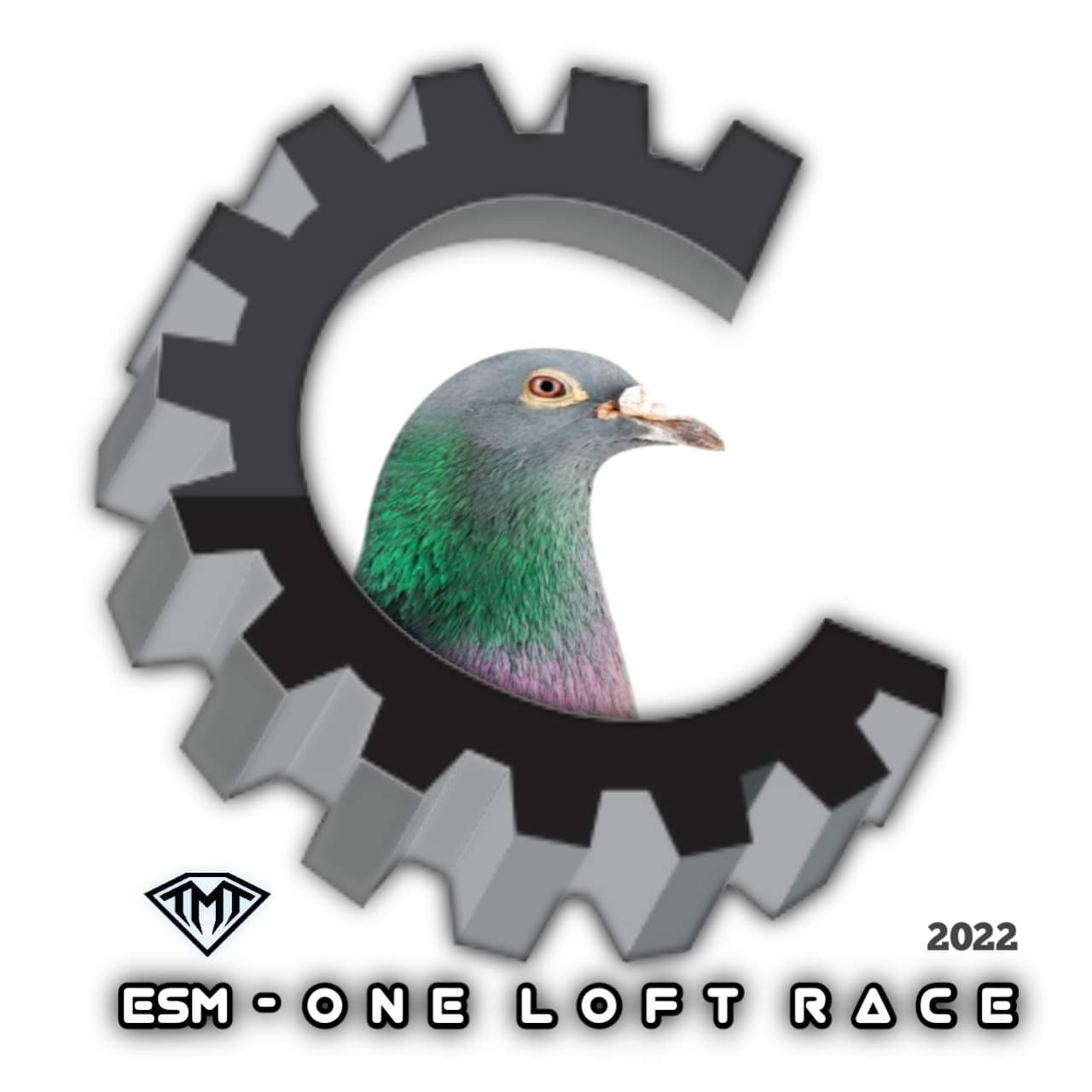 TOPIGEON - One Loft Race